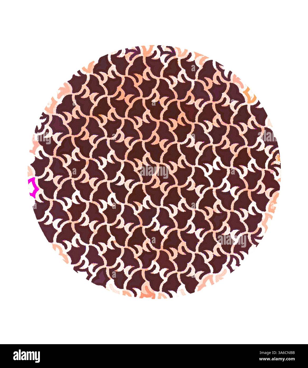 A circular design featuring an intricate pattern of interlocking shapes ...