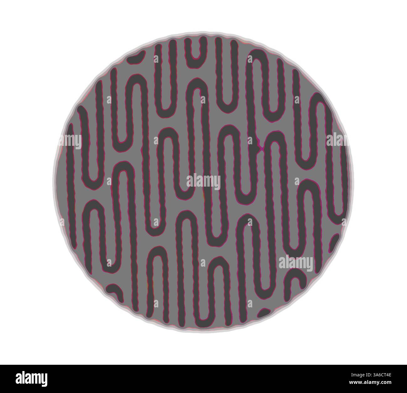 A circular design featuring a repetitive pattern of interconnected ...