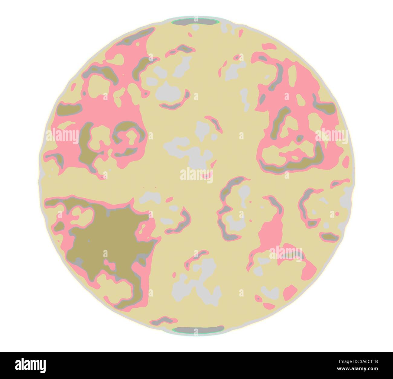 A circular representation featuring abstract shapes in soft hues of ...