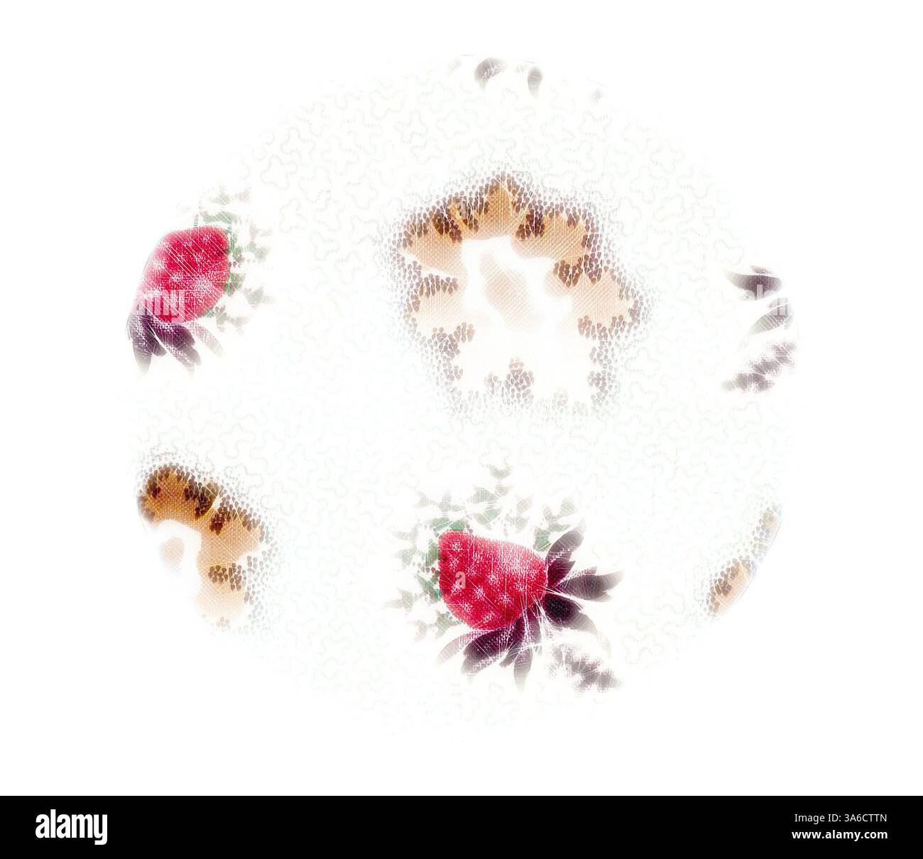 Fur covers Cut Out Stock Images & Pictures - Alamy