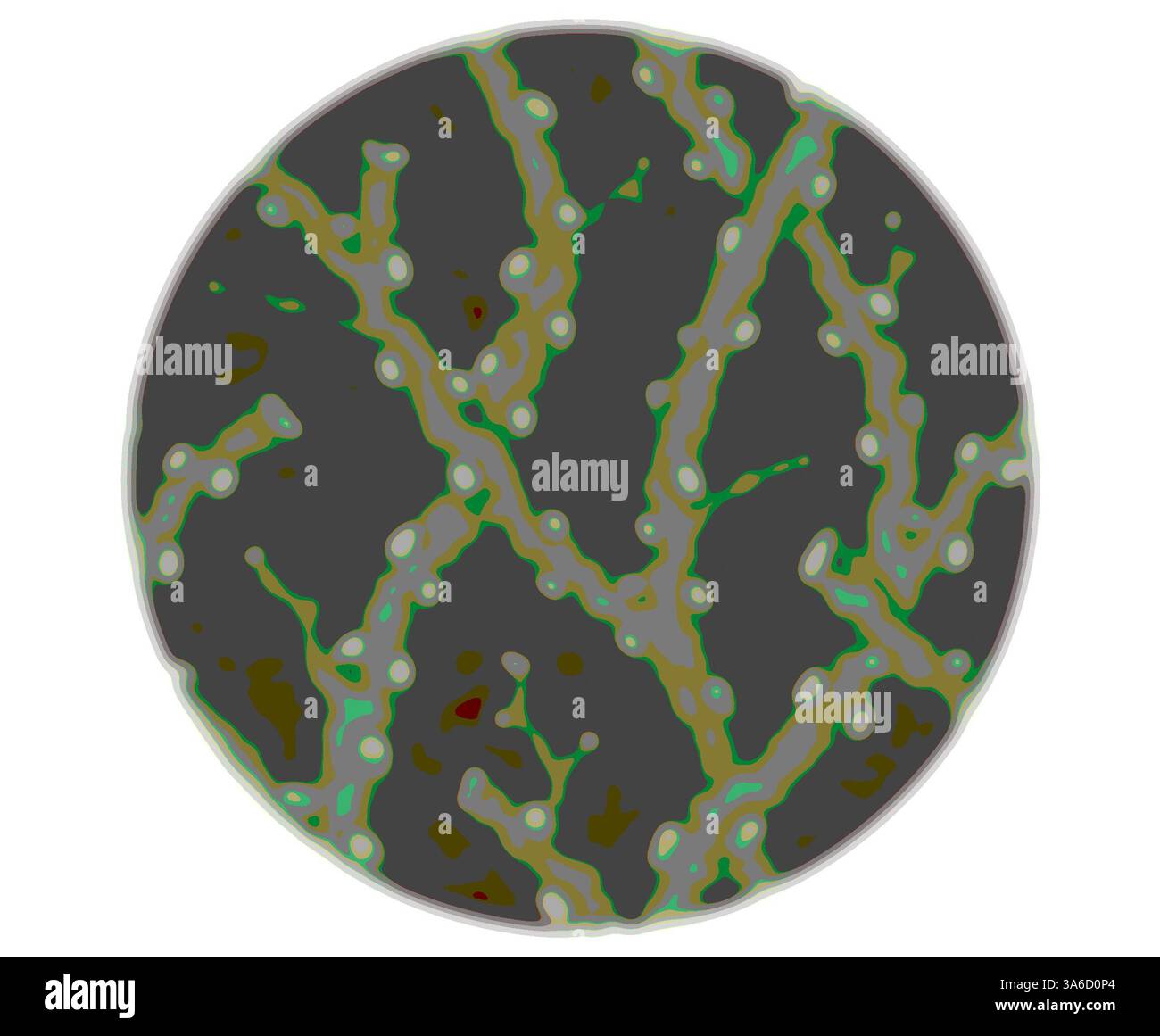 Branching shapes in shades of green hi-res stock photography and images ...