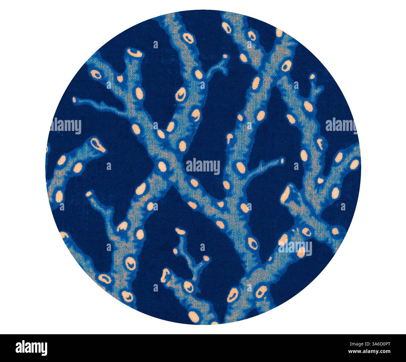 Limbs pattern Cut Out Stock Images & Pictures - Alamy