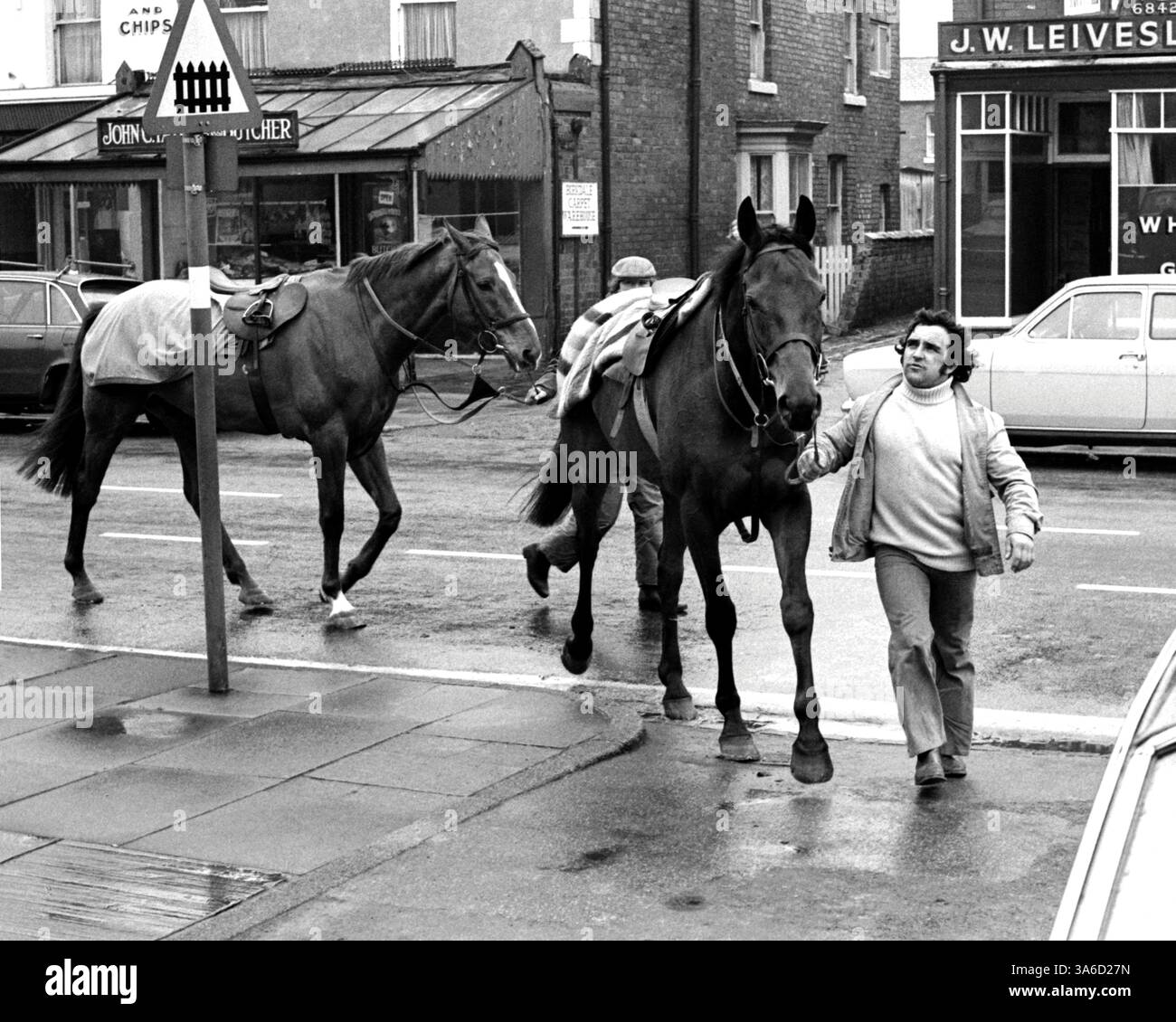 Red Rum in Ginger McCain's Southport stables Stock Photo - Alamy