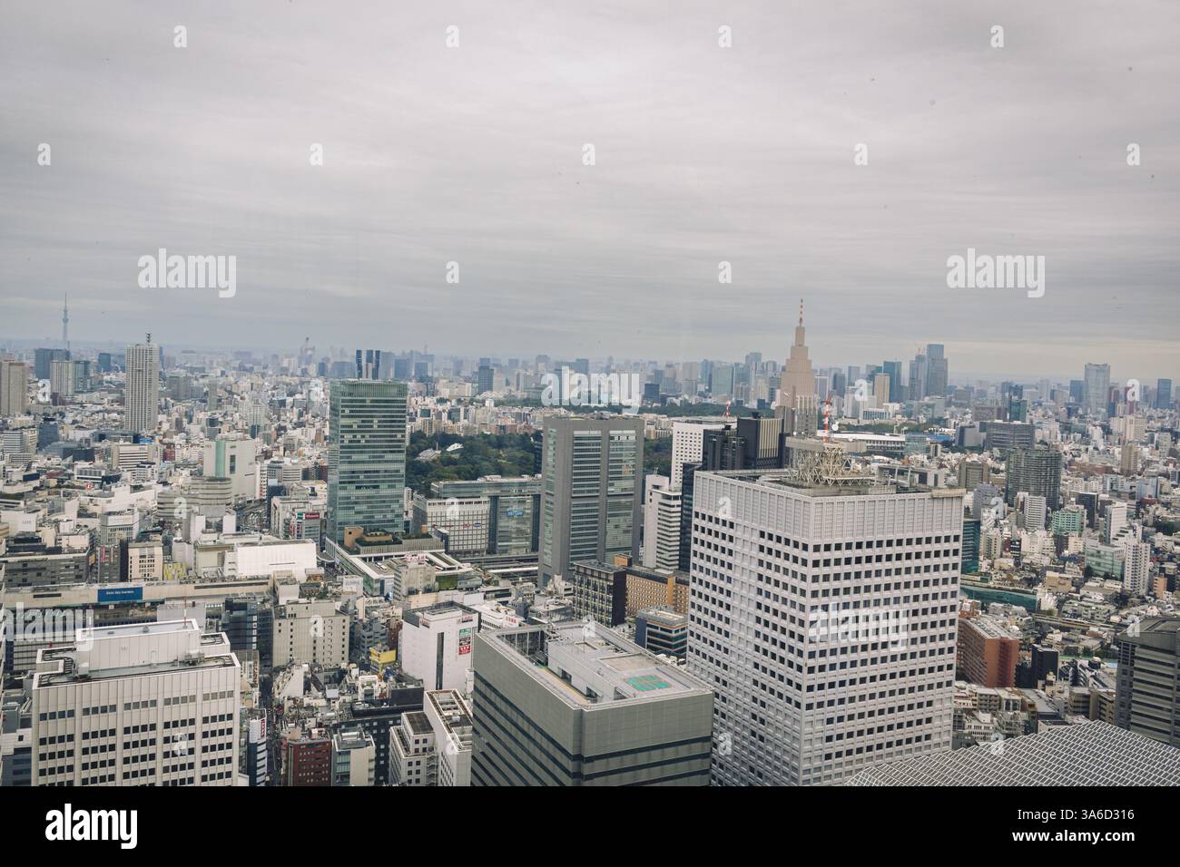 Photos taken from the observatory of the Tokyo Metropolitan Government ...