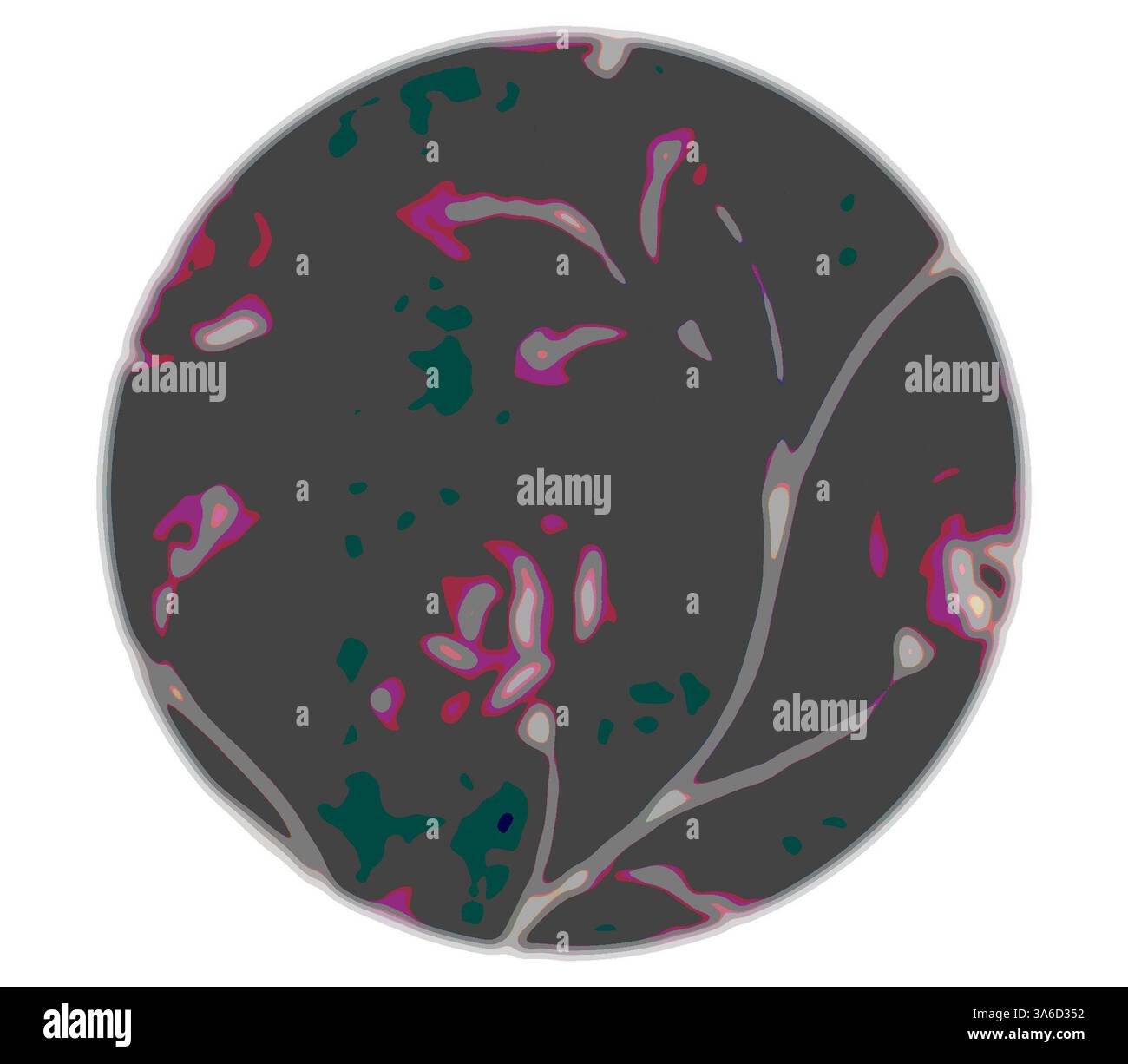 Mimic organic forms hi-res stock photography and images - Alamy