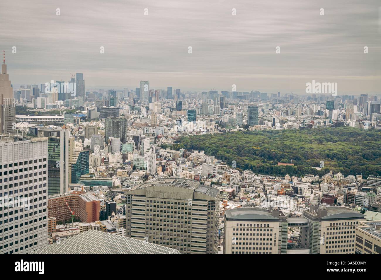 Photos taken from the observatory of the Tokyo Metropolitan Government ...