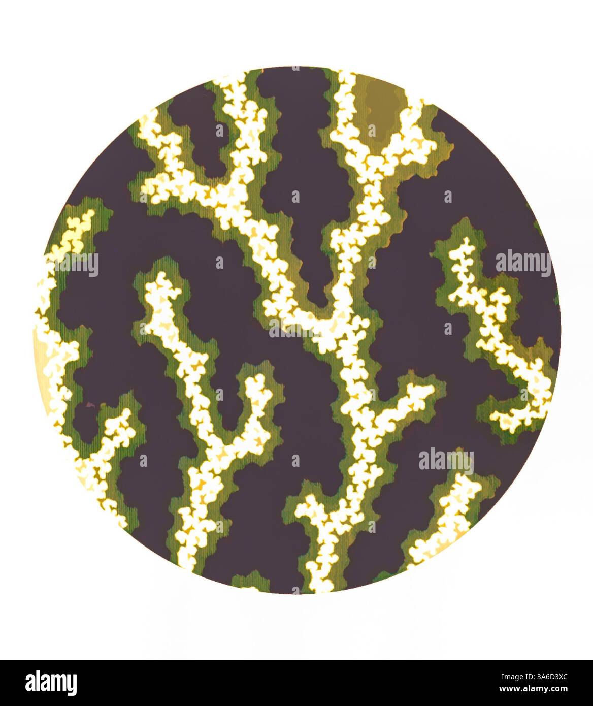 Reminiscent of coral structures hi-res stock photography and images - Alamy