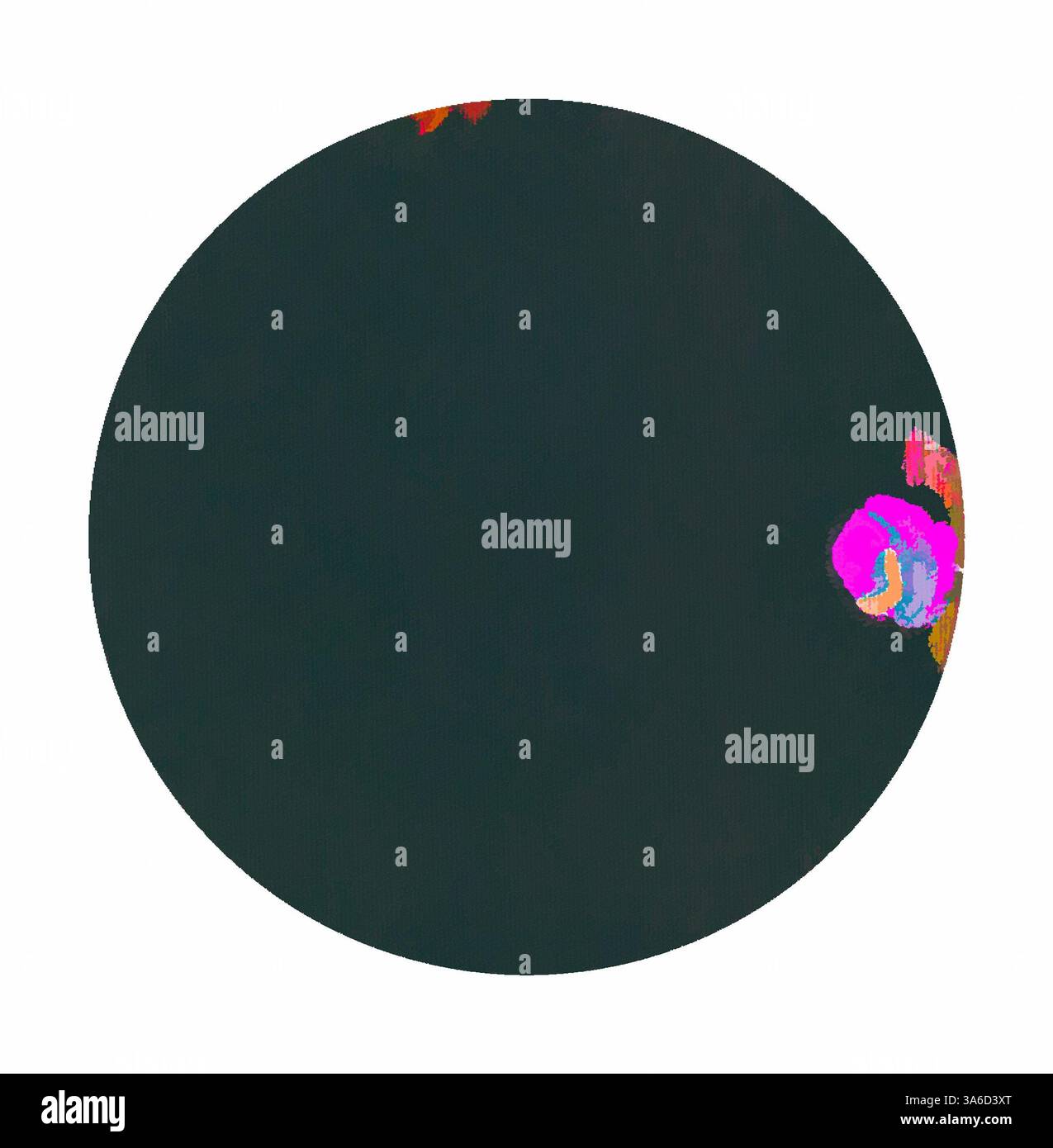 Vibrant floral elements in deep shades Cut Out Stock Images & Pictures ...