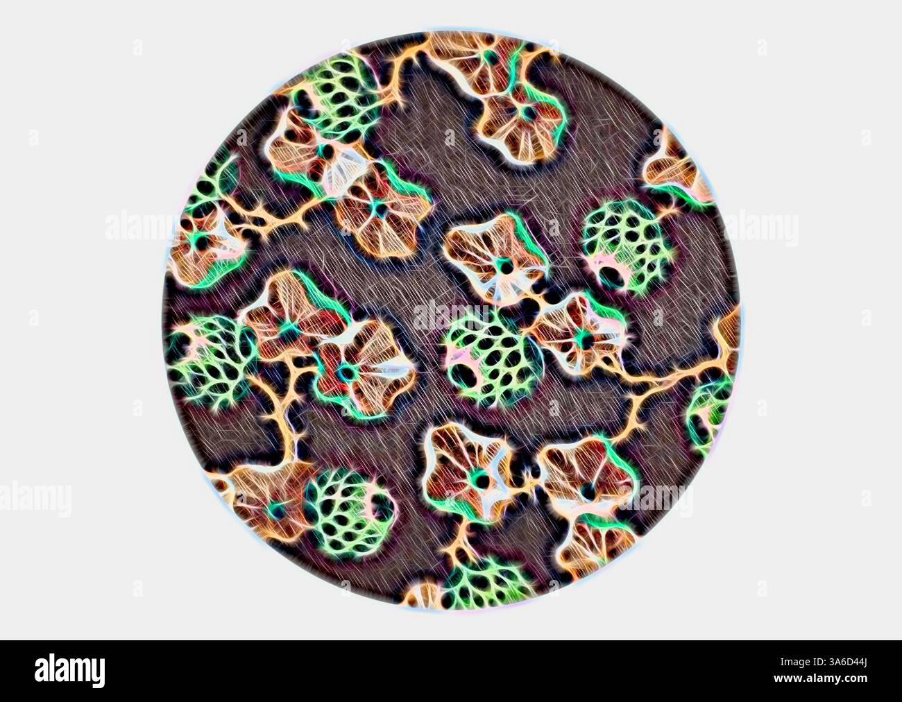 Abstract Representation Of Interconnected Organic Shapes Hi Res Stock