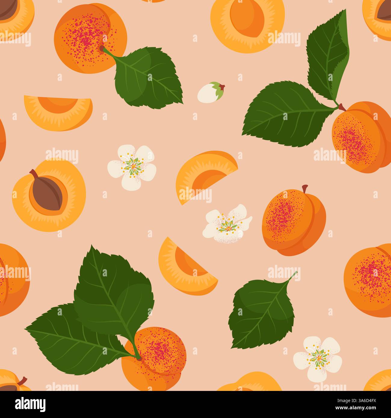 Fresh Slices Juicy Apricots seamless pattern. Hand Drawn Vector ...