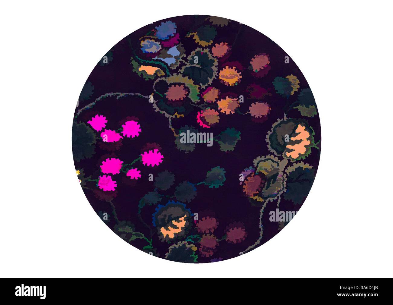 Lively yet harmonious visual experience hi-res stock photography and ...