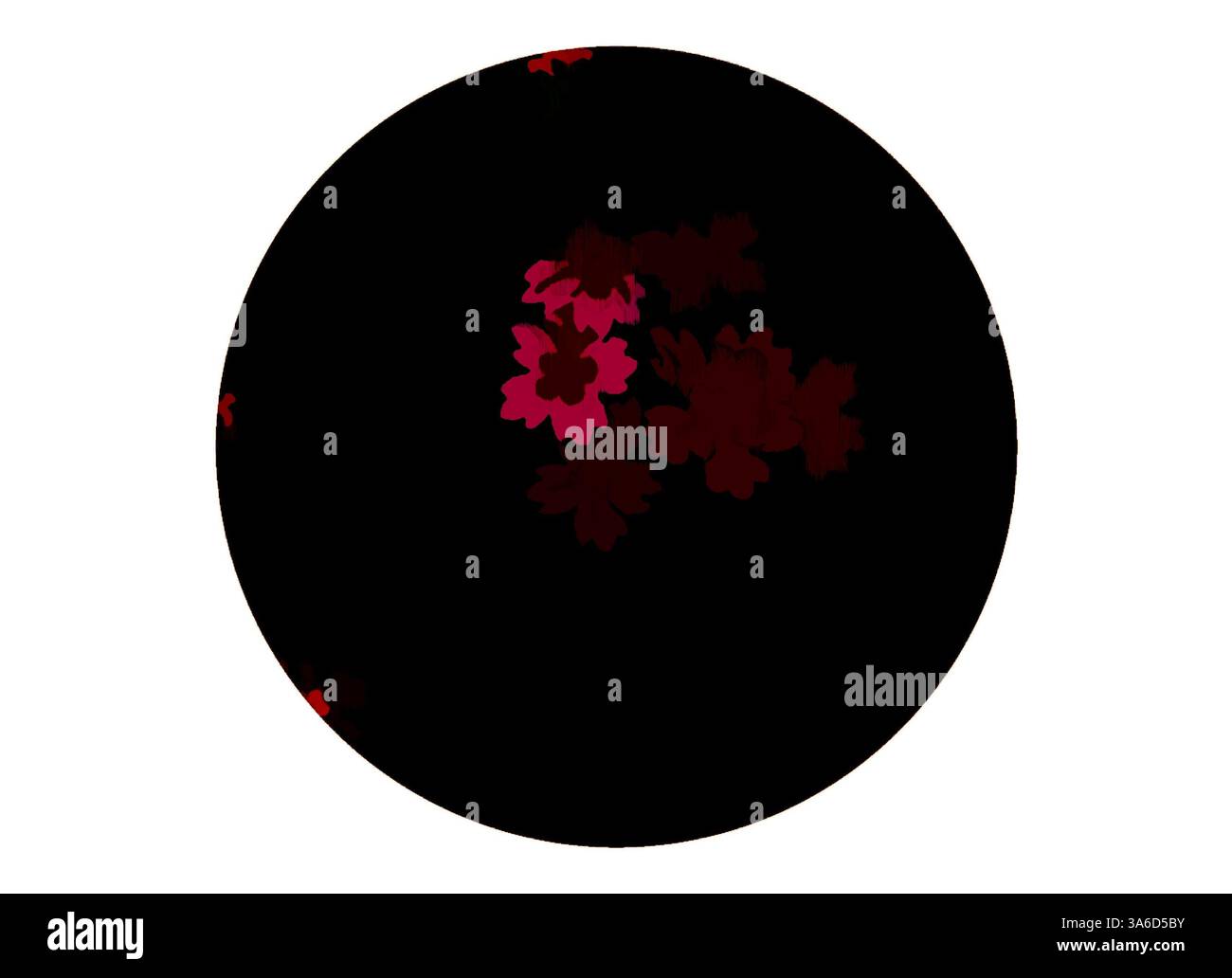 A circular vignette featuring vibrant red and pink floral elements ...