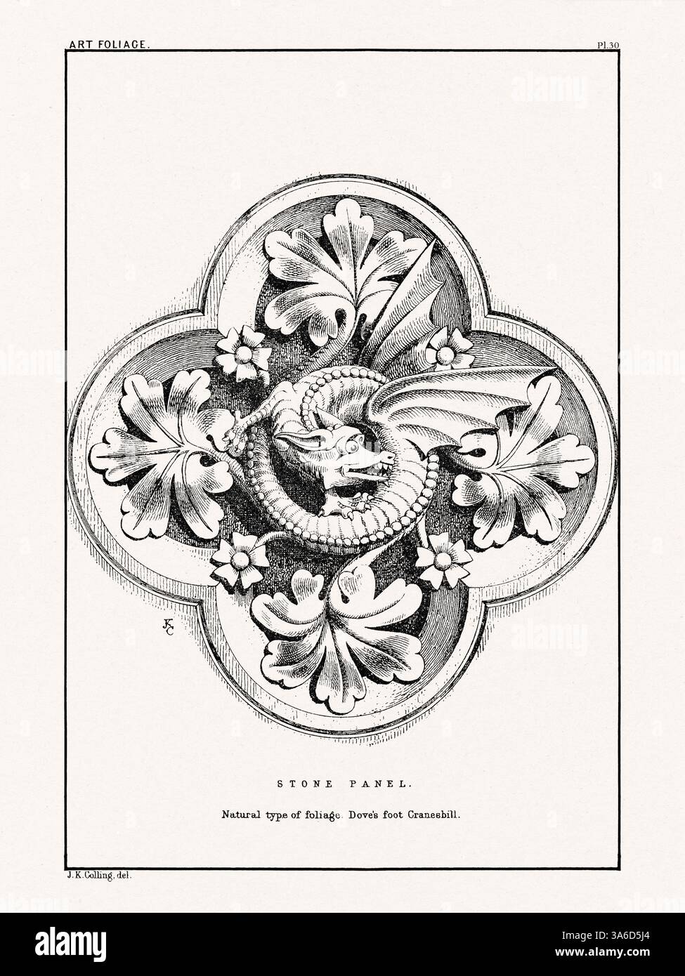 Vintage foliage ornament illustration from a book published in Boston ...