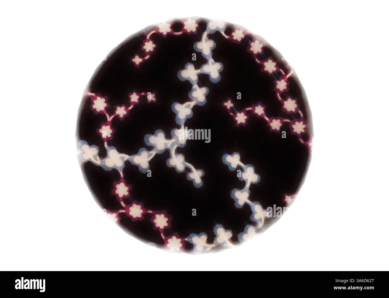 Abstract Representation Of Interconnected Molecular Structures Cut Out Stock Images And Pictures