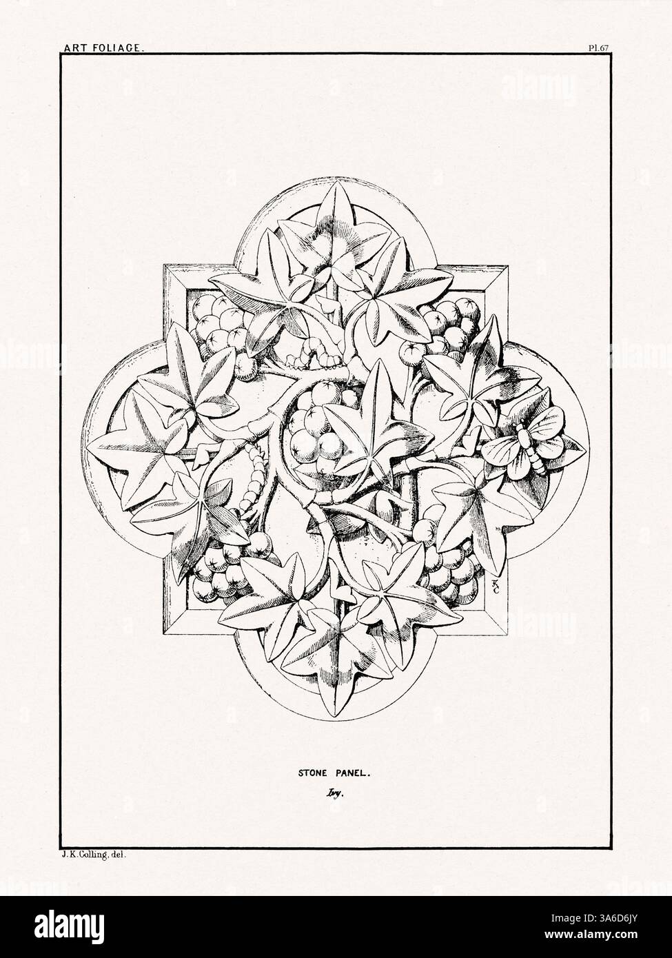 Vintage foliage ornament illustration from a book published in Boston ...