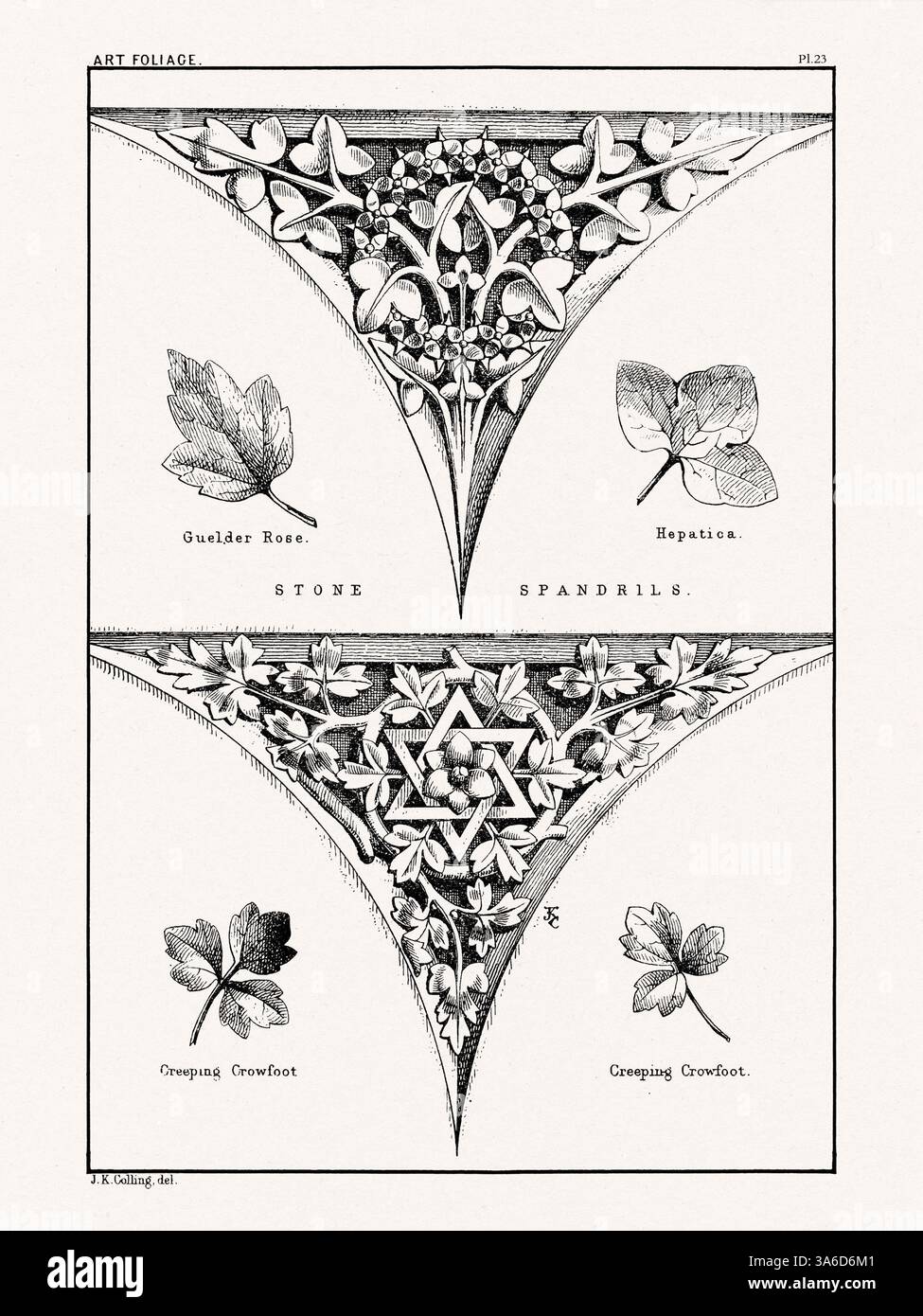 Vintage foliage ornament illustration from a book published in Boston ...