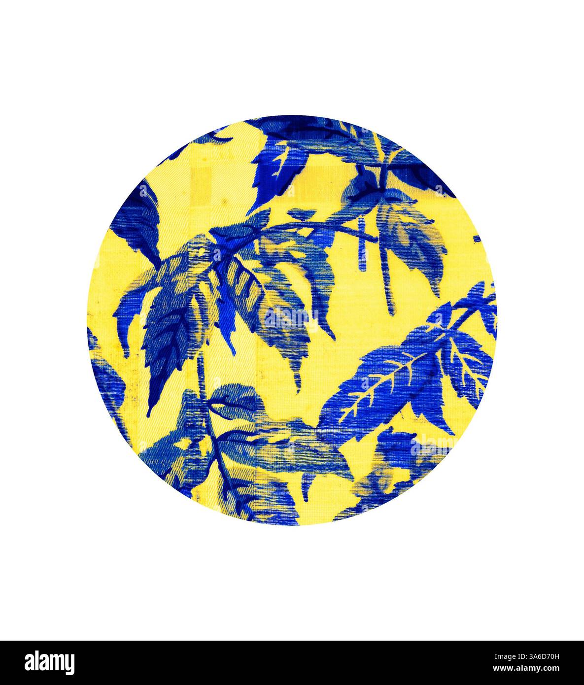 Tropical leaves in bold shades of blue hi-res stock photography and ...