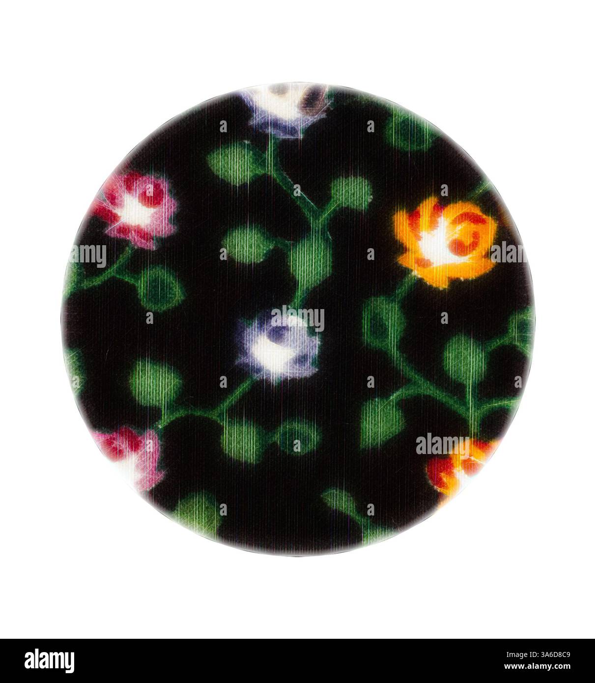 Intertwined roses in vibrant colors hi-res stock photography and images ...