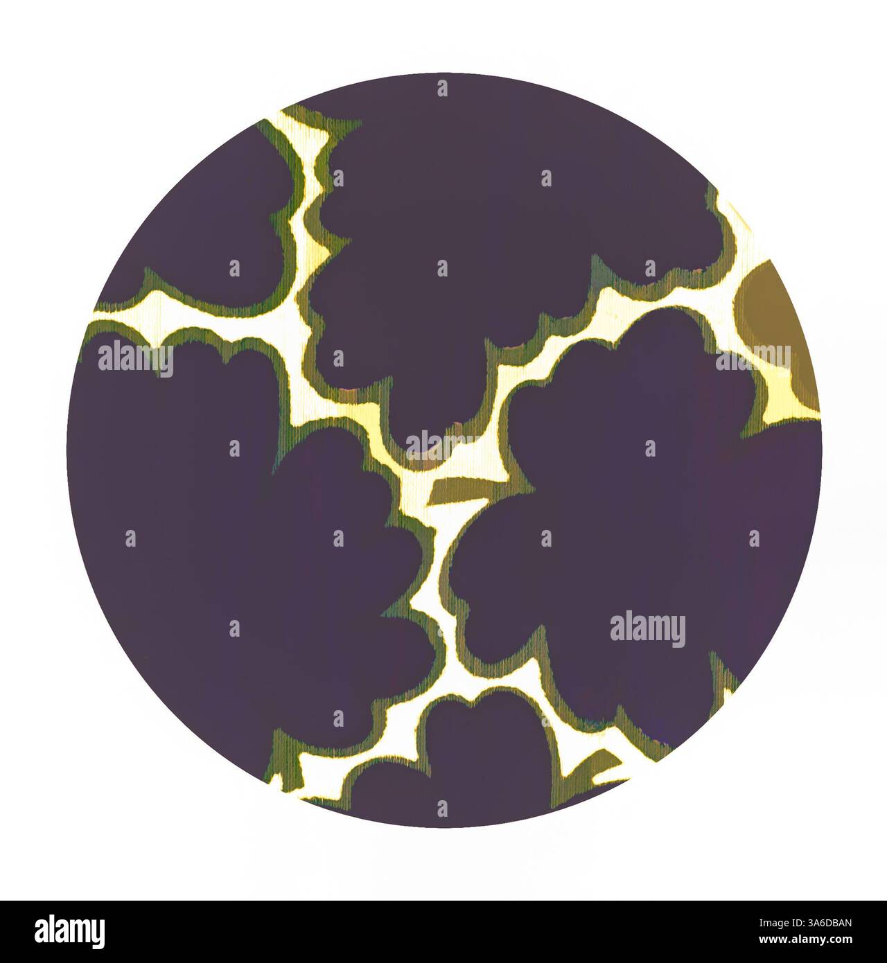 Bold dark forms contrast hi-res stock photography and images - Alamy