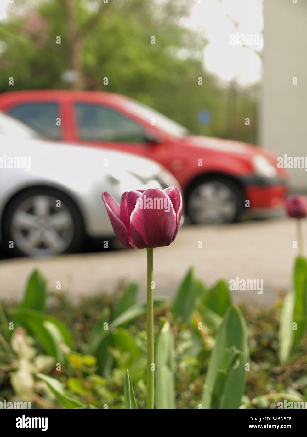 Beautiful image hi-res stock photography and images - Alamy