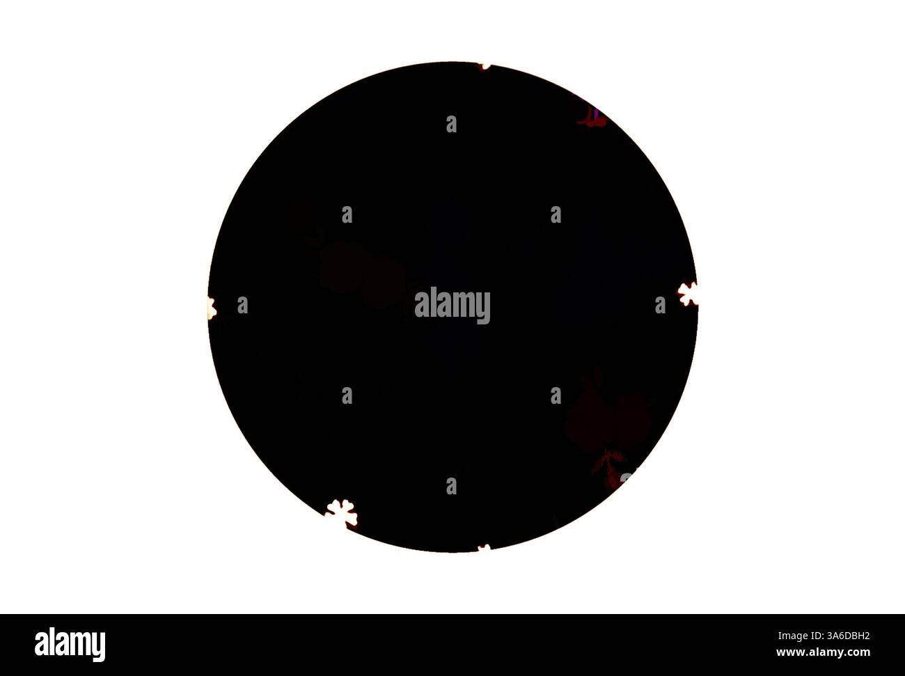 A circular silhouette with a dark background, featuring subtle floral ...