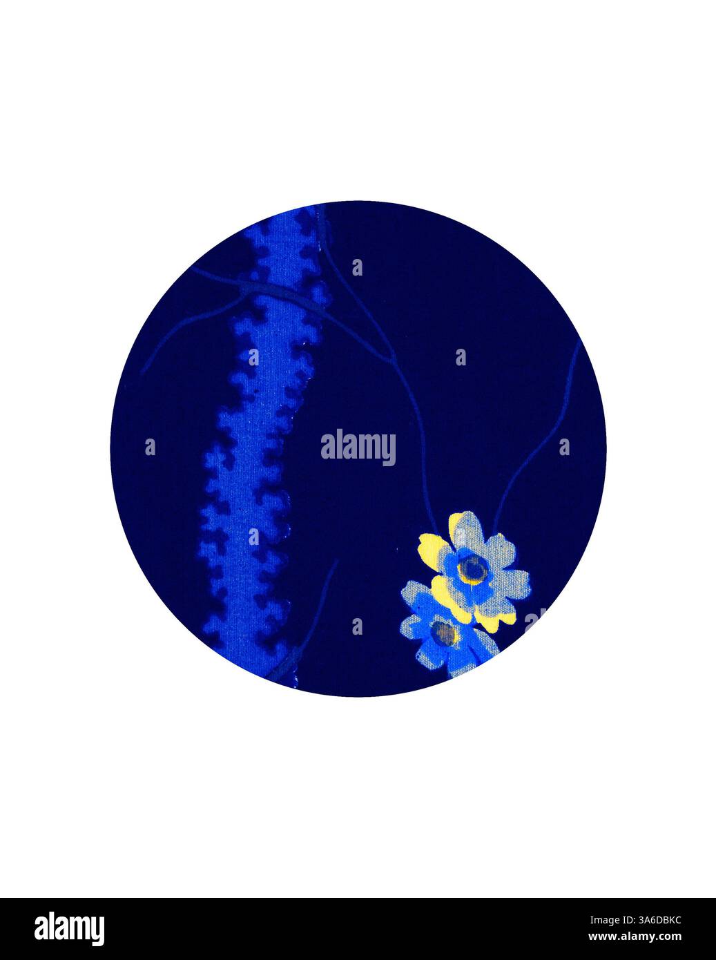 A vibrant design featuring a striking contrast of deep blue and vibrant ...