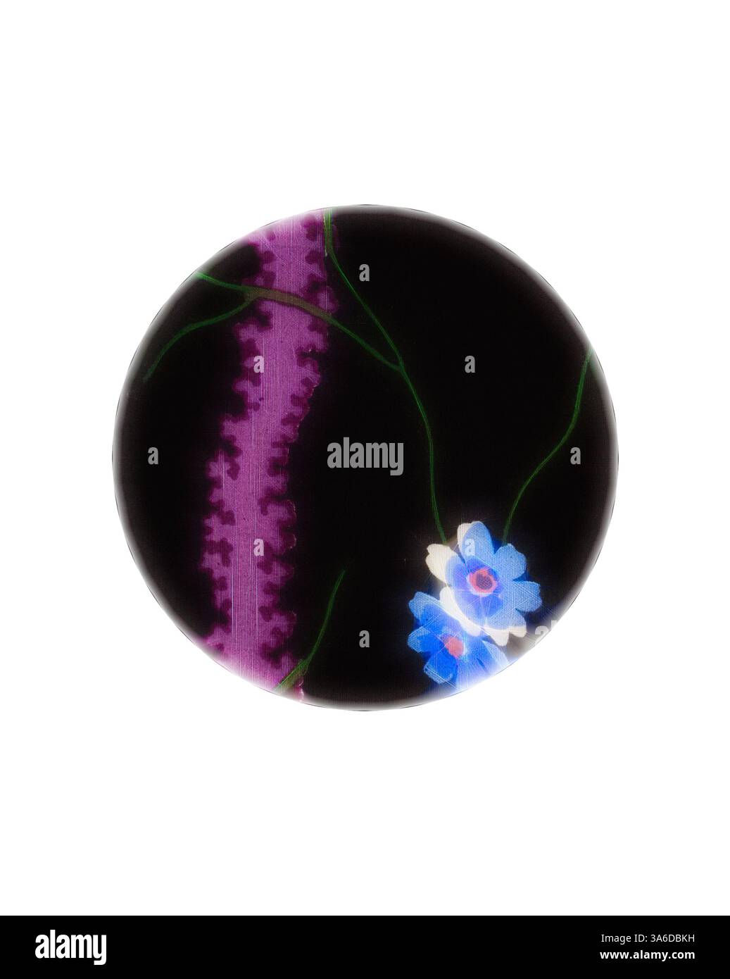 Vibrant blue elements intertwined Cut Out Stock Images & Pictures - Alamy