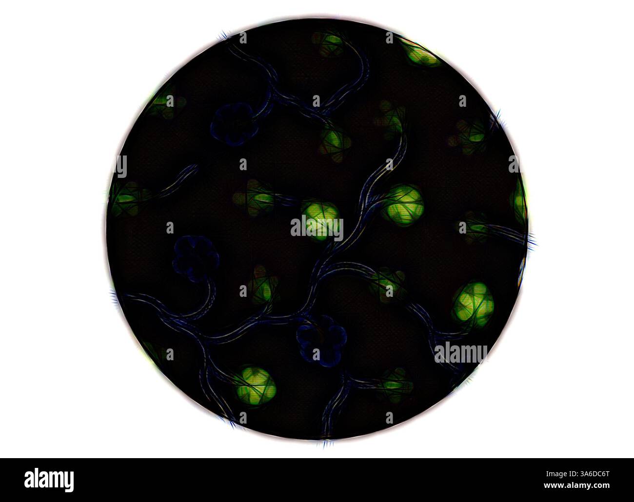 Interconnected biological structures hi-res stock photography and ...