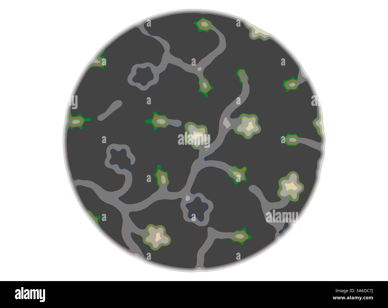 A close-up view of a circular pattern featuring interconnected organic ...