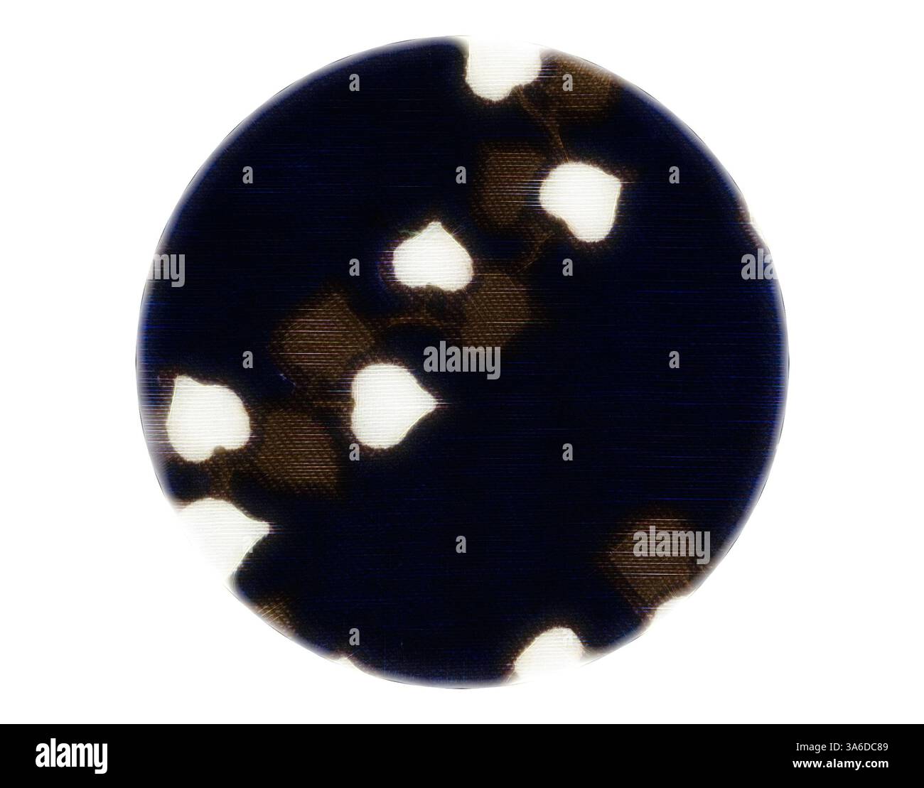 Shadow and light interplay Cut Out Stock Images & Pictures - Alamy