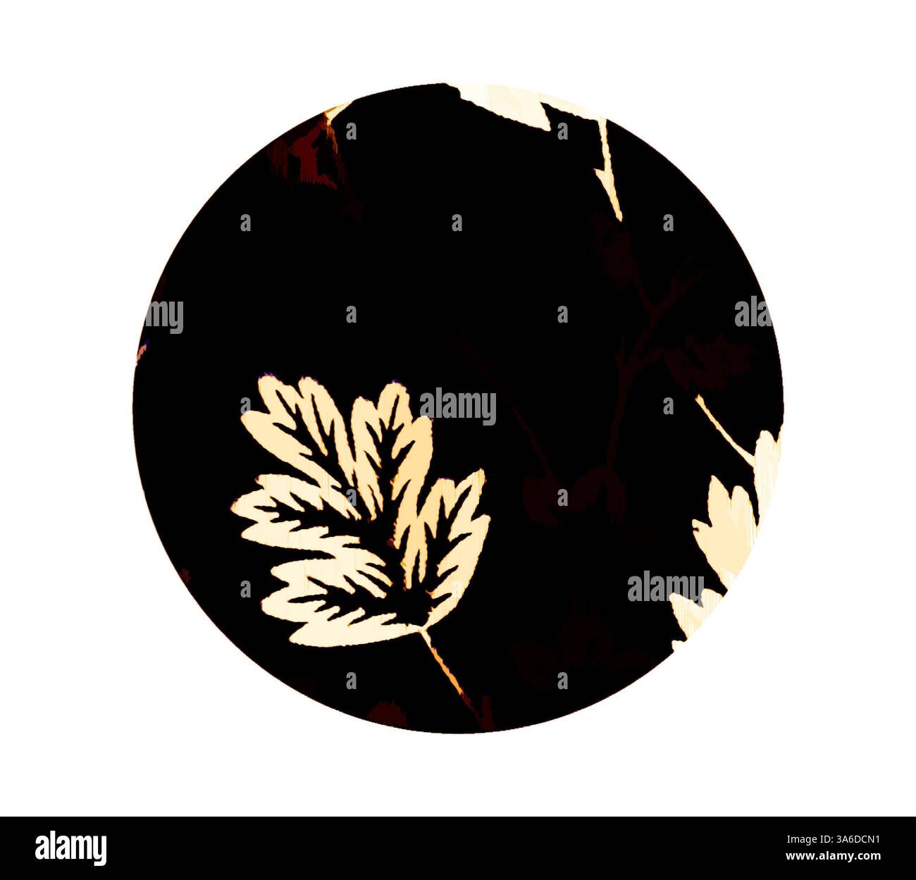 A circular design featuring bold, light-colored leaves against a dark ...