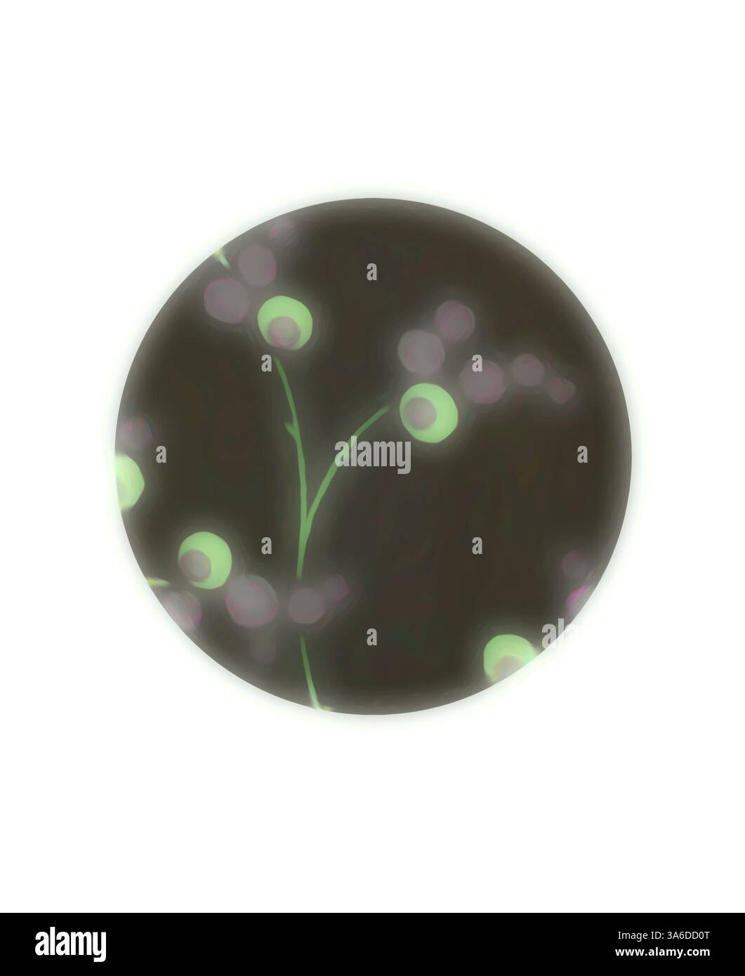 Dreamy circular design featuring Cut Out Stock Images & Pictures - Alamy