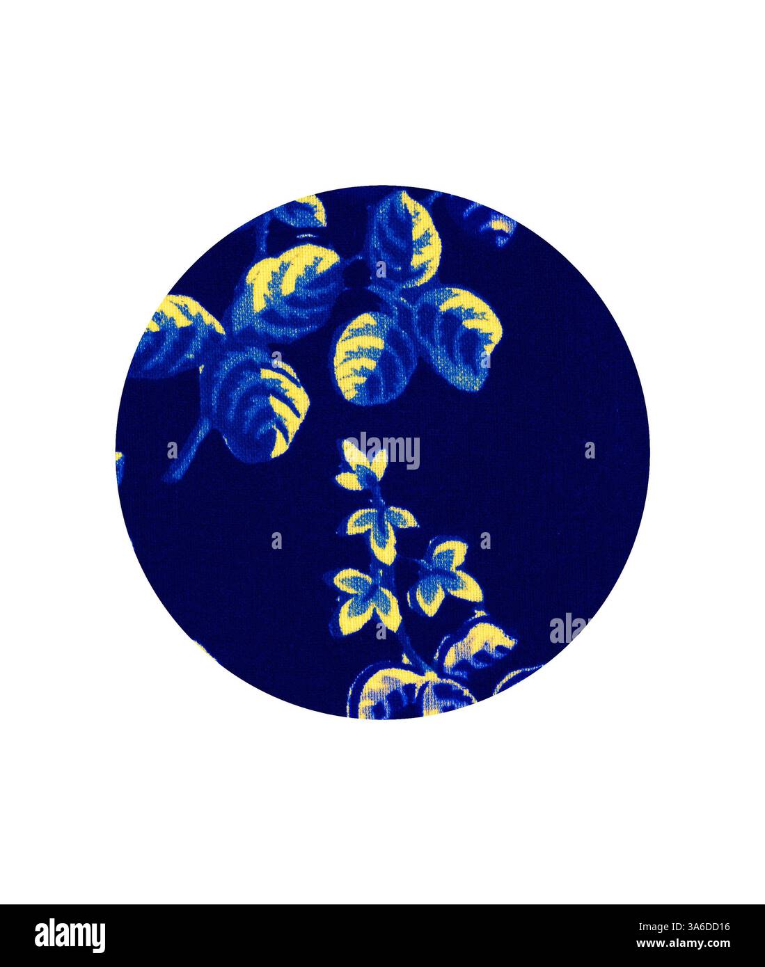 Striking design of delicate blue leaves Cut Out Stock Images & Pictures ...