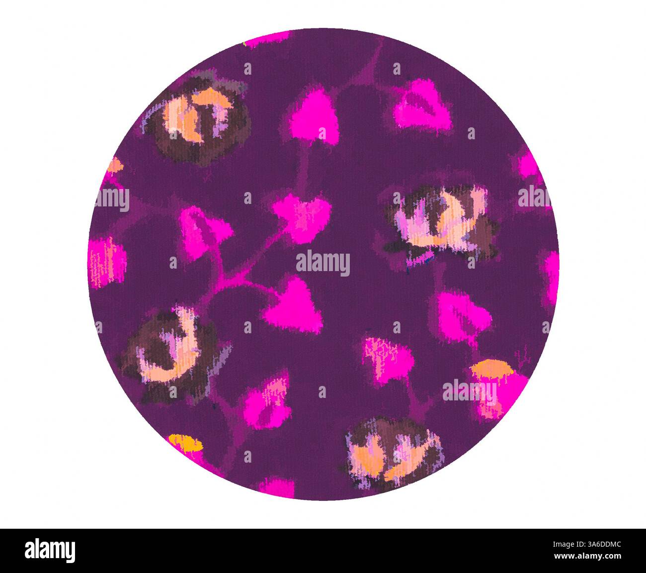 Bold roses intertwined hi-res stock photography and images - Alamy