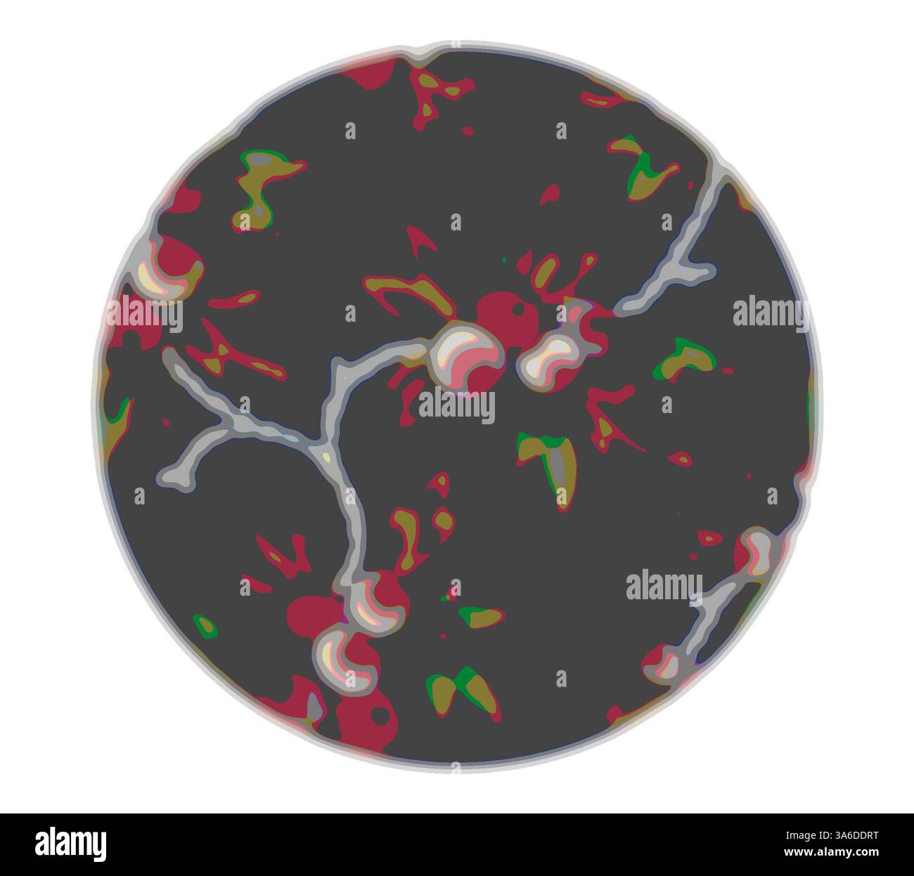 Intricacies of biological design hi-res stock photography and images ...