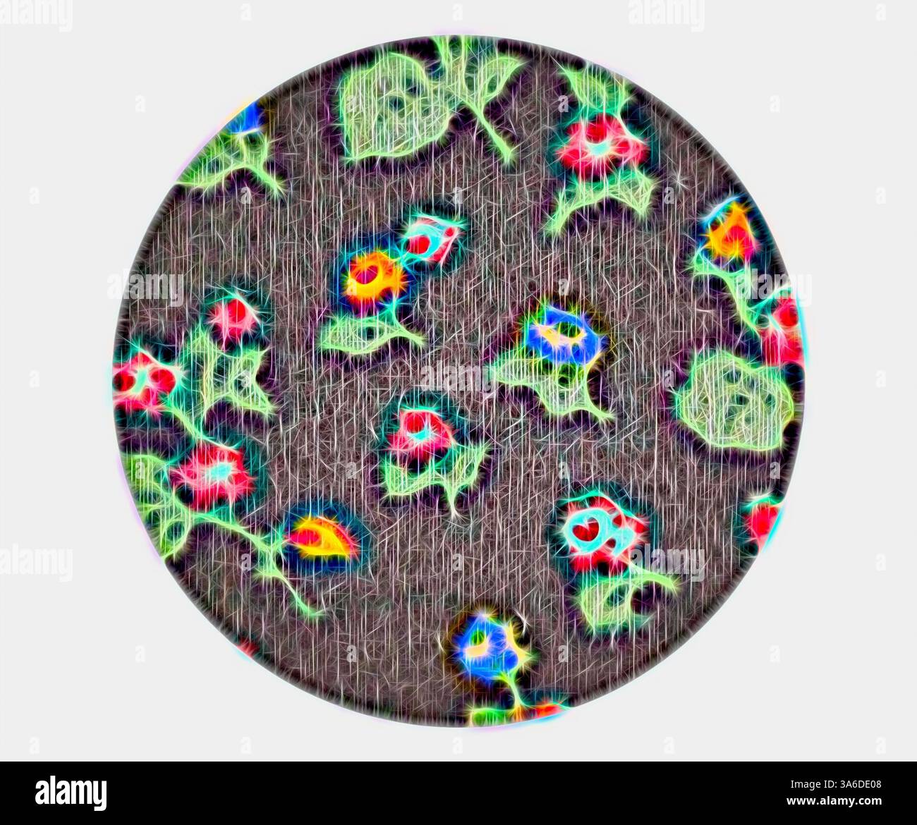 Abstract representation of floral motifs hi-res stock photography and ...
