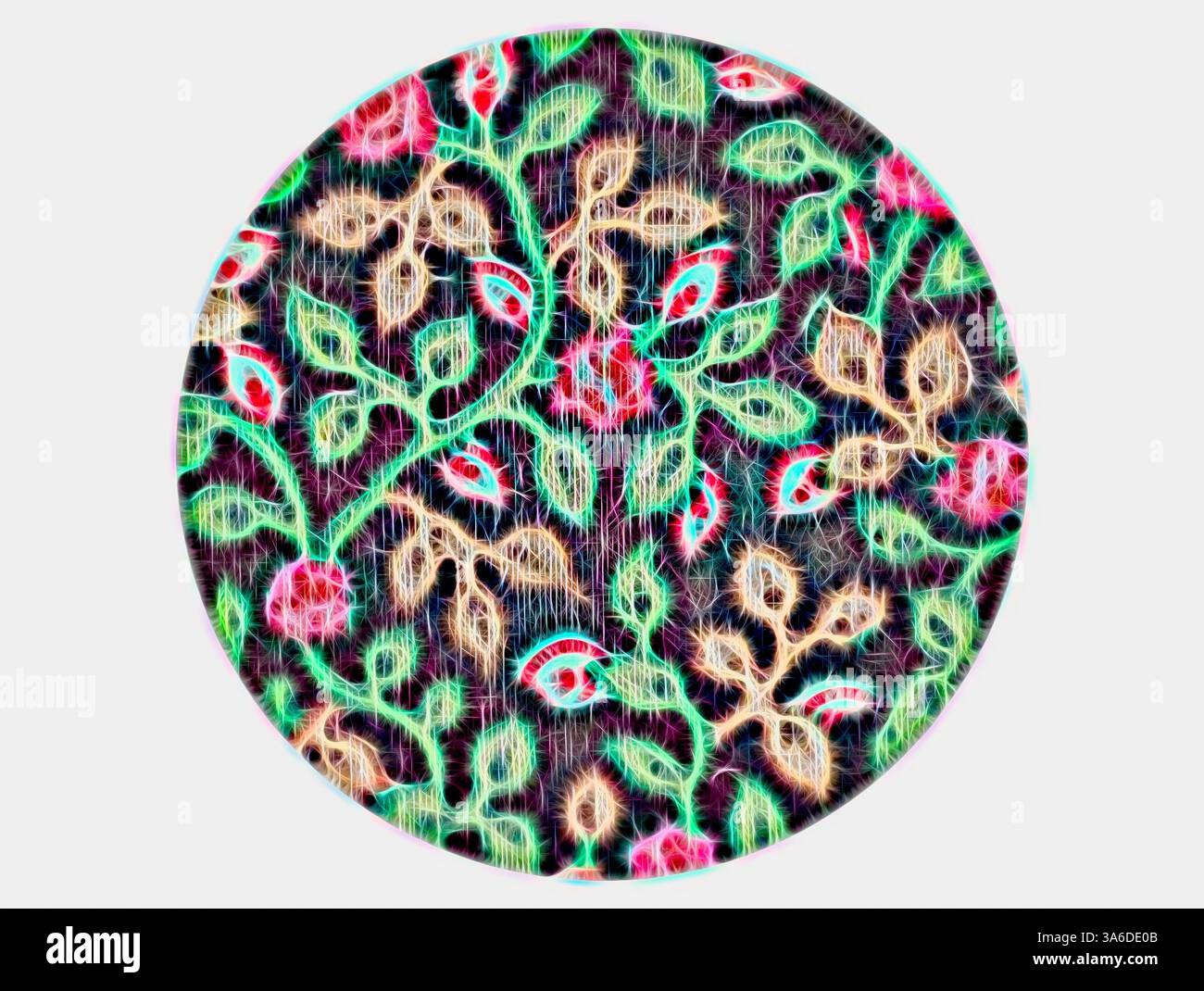 Vine patterns in bright colors hi-res stock photography and images - Alamy