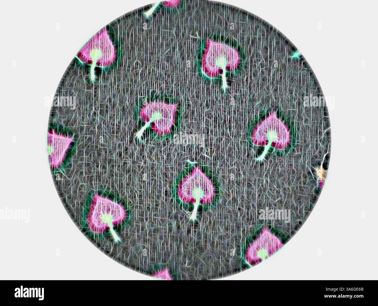 Black book on fabric hi-res stock photography and images - Alamy