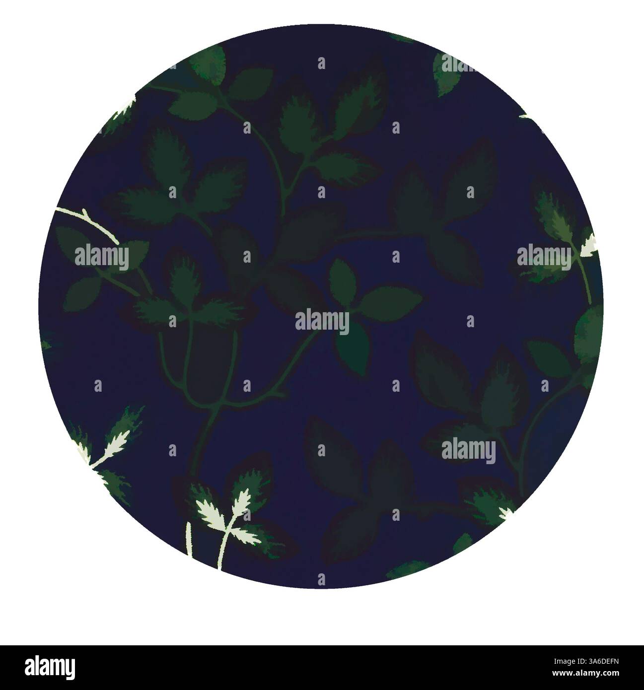 Tranquil atmosphere Cut Out Stock Images & Pictures - Alamy