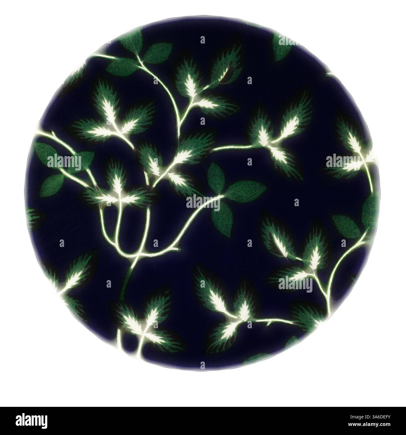 A circular design featuring delicate, glowing green vines and leaves ...