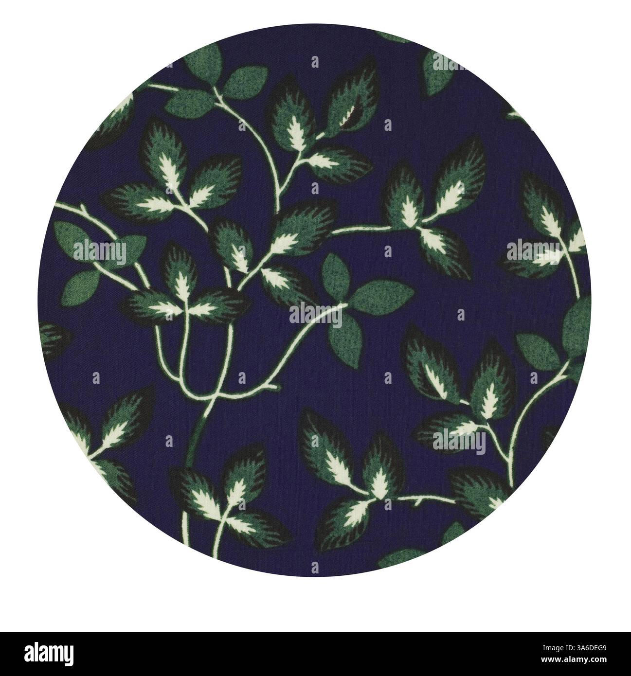 A lush pattern featuring leafy vines in rich green tones against a deep ...