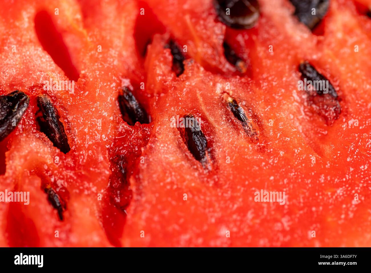 red ripe watermelon with pits, part of a sliced juicy watermelon with ...