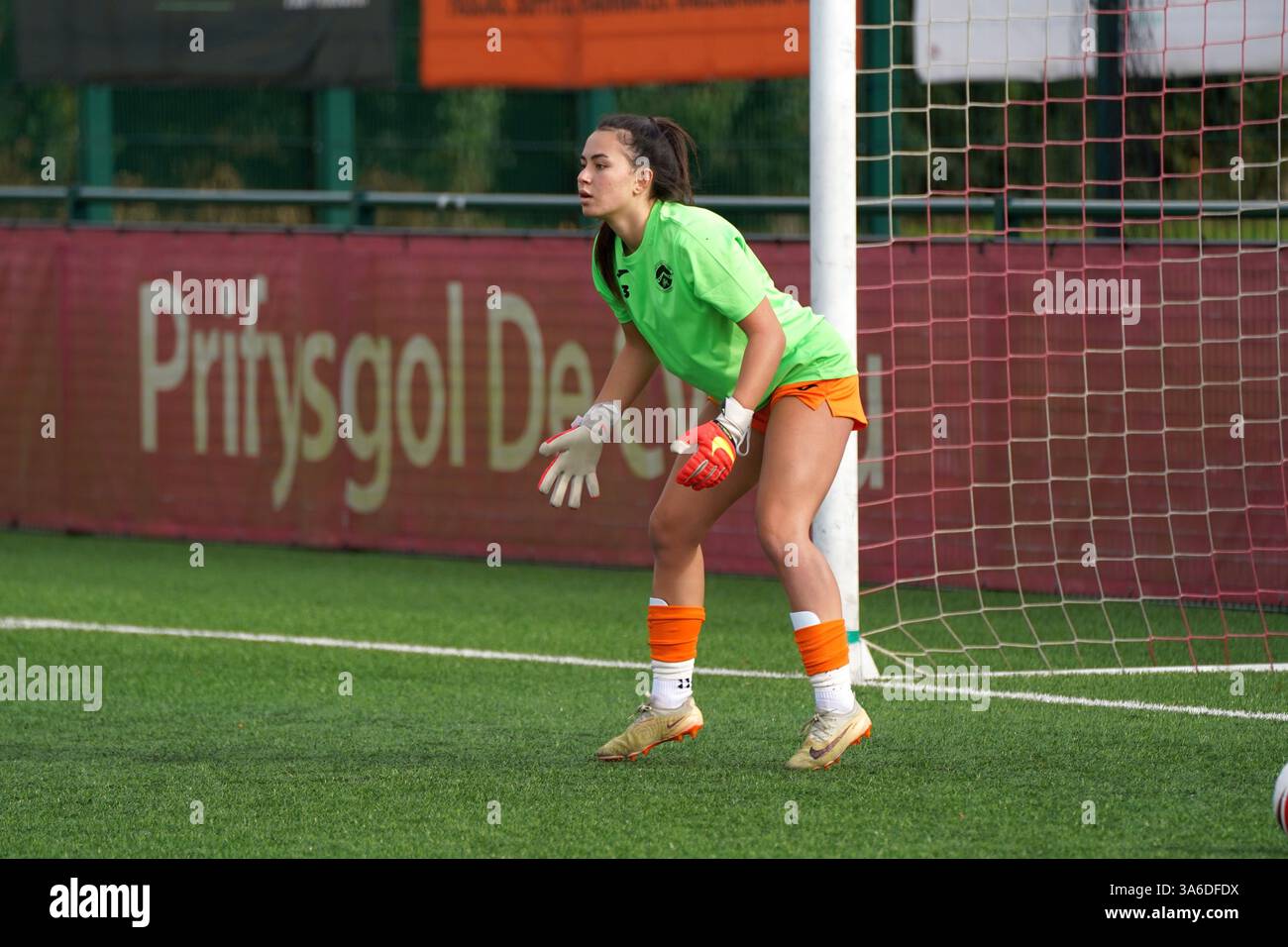 The welsh goalkeeper hi-res stock photography and images - Alamy