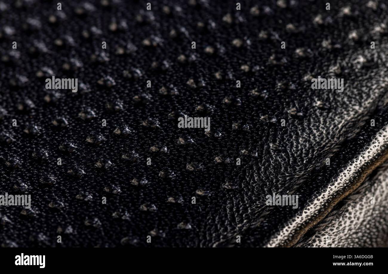 leather for the production of shoes, treated leather with perforation ...