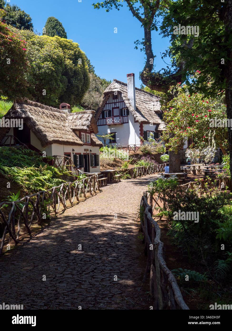 Hike in the Parque Florestal das Queimadas near the village of Santana ...