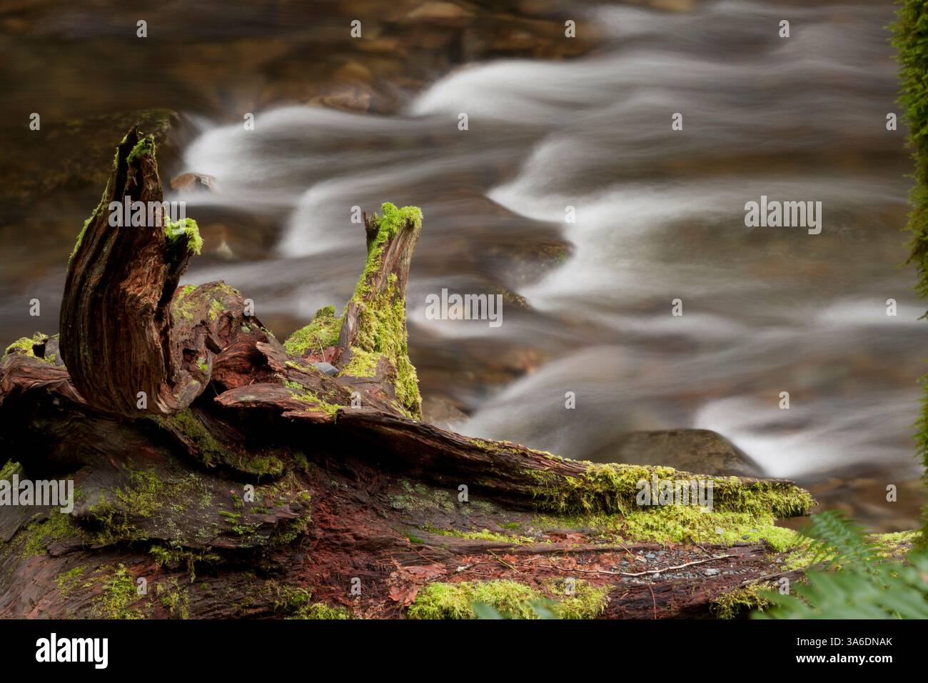 Moving places hi-res stock photography and images - Alamy