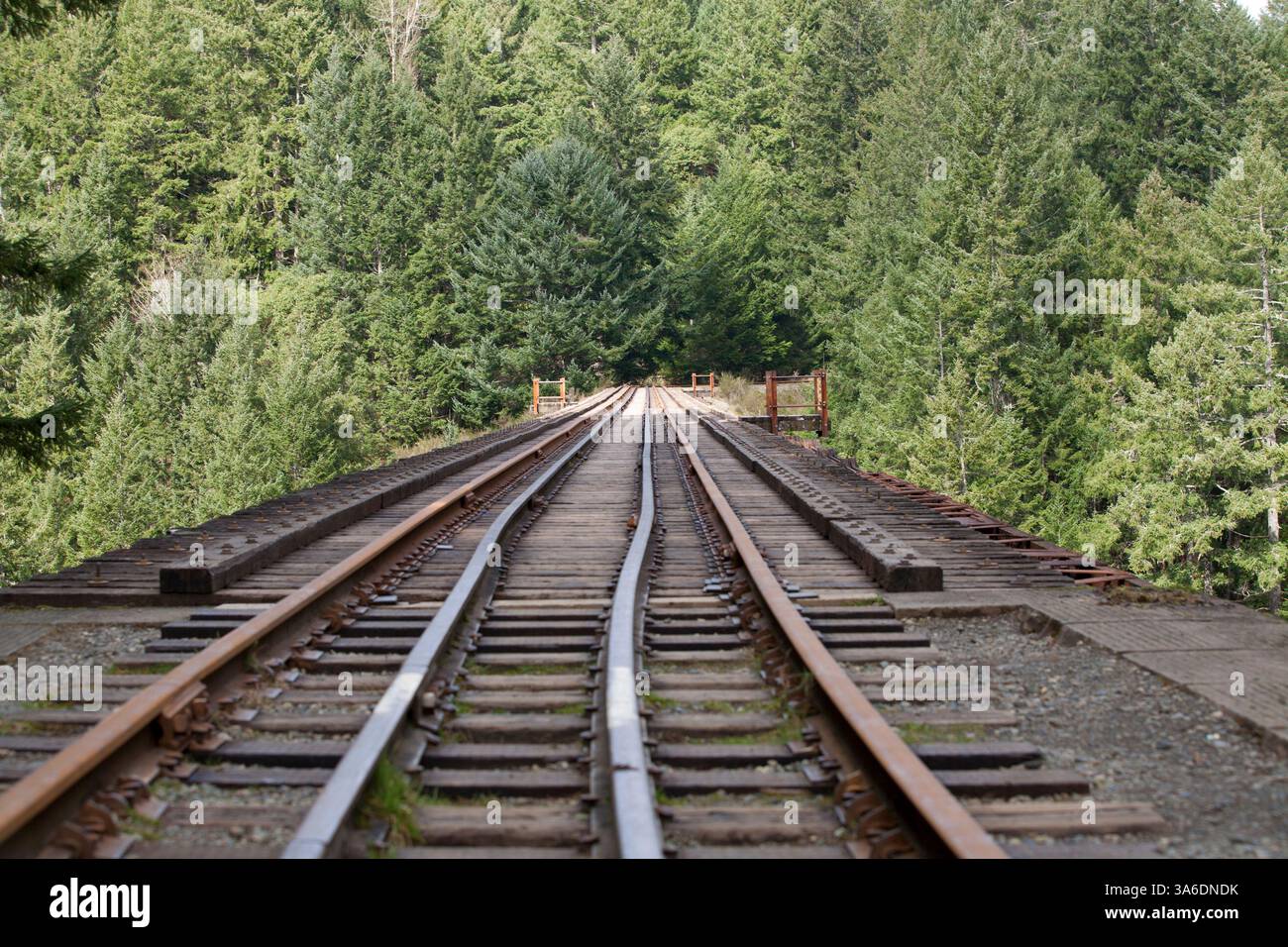 Kinsol trestle bridge vancouver island hi-res stock photography and ...