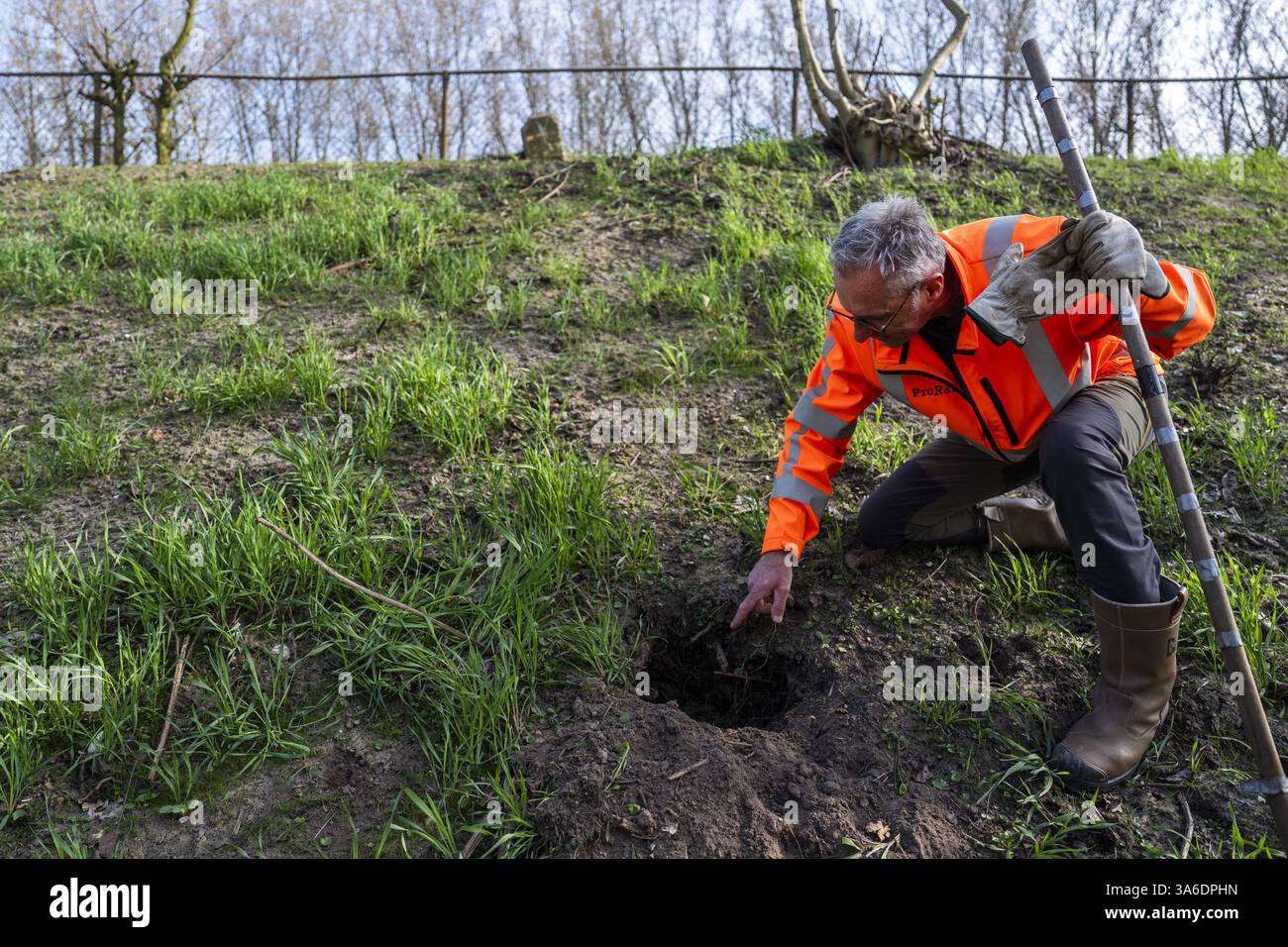 RAVENSTEIN - A Prorail employee searches for damage caused by badgers ...