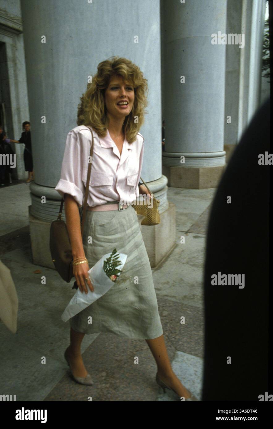 Fawn hall hi-res stock photography and images - Alamy
