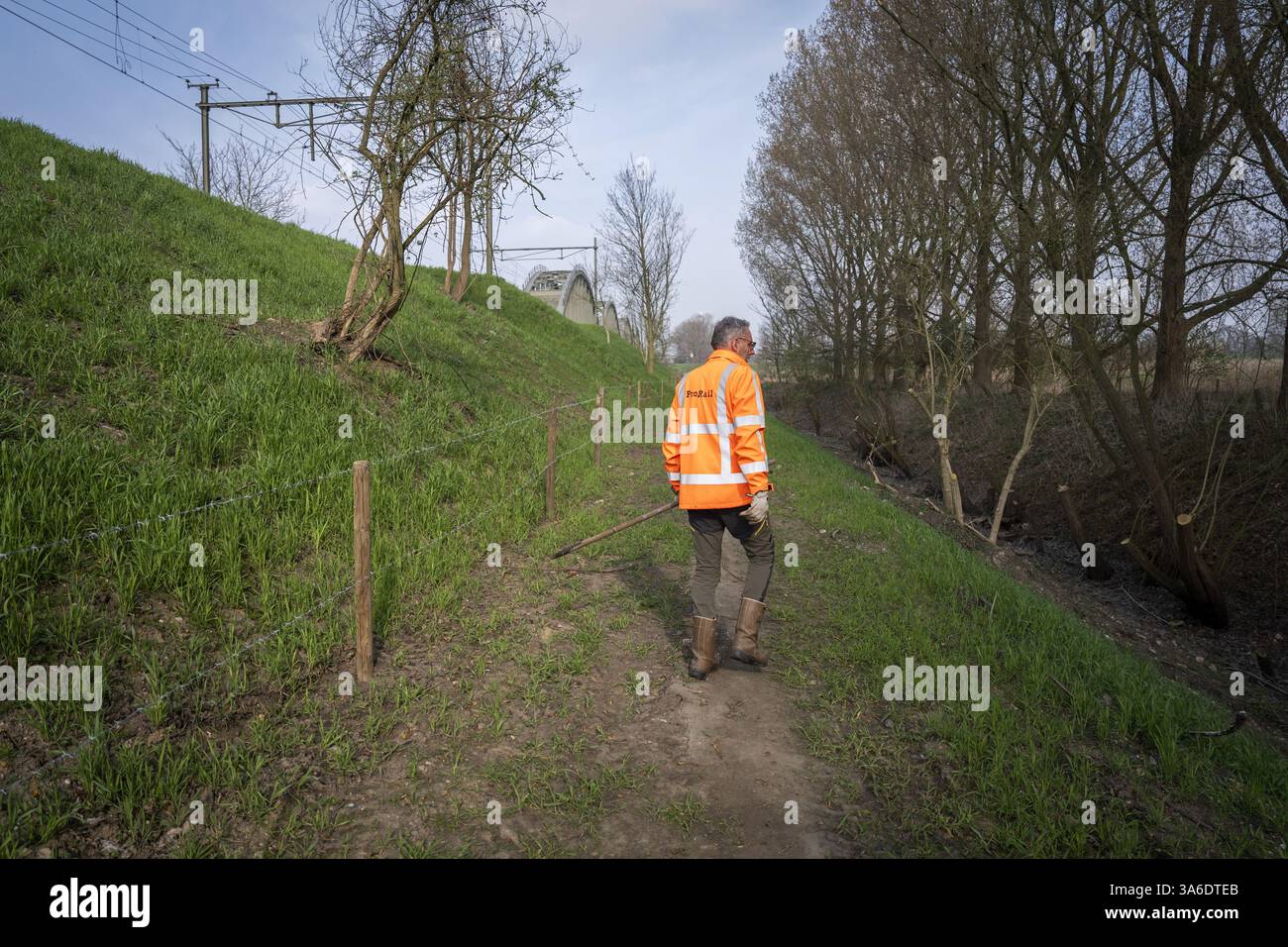 RAVENSTEIN - A Prorail employee looks for damage caused by badgers ...